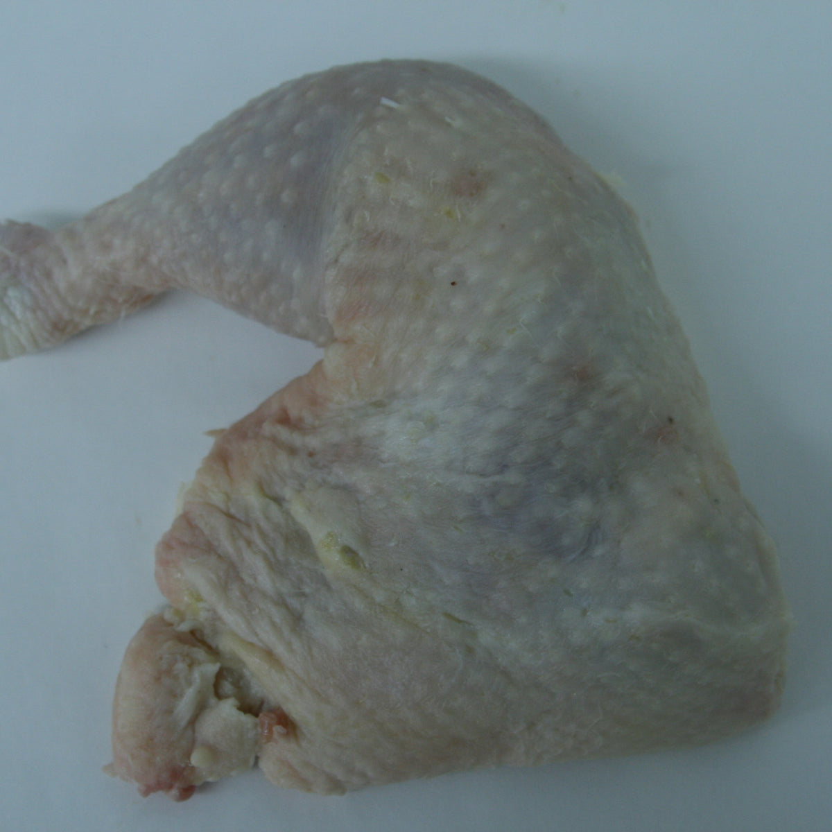 Chicken Legs (Bottom Quarters)- Poultry I Fischer Bros. & Leslie ...