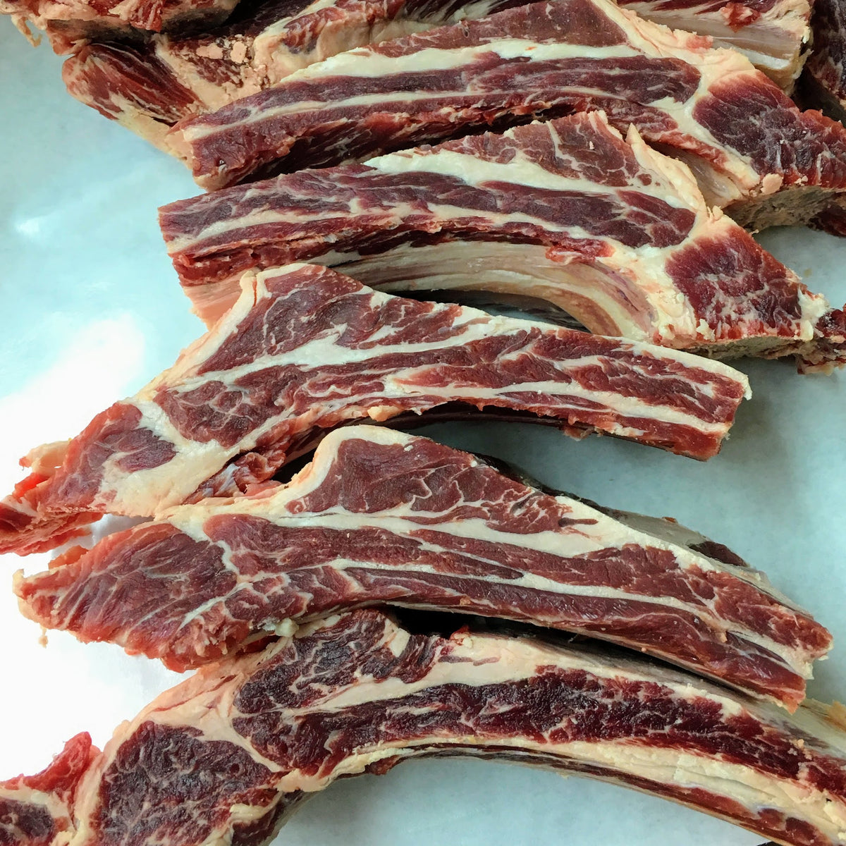 Beef Rib Bones I Kosher Meat I Fischer Bros & Leslie – Fischer Brothers